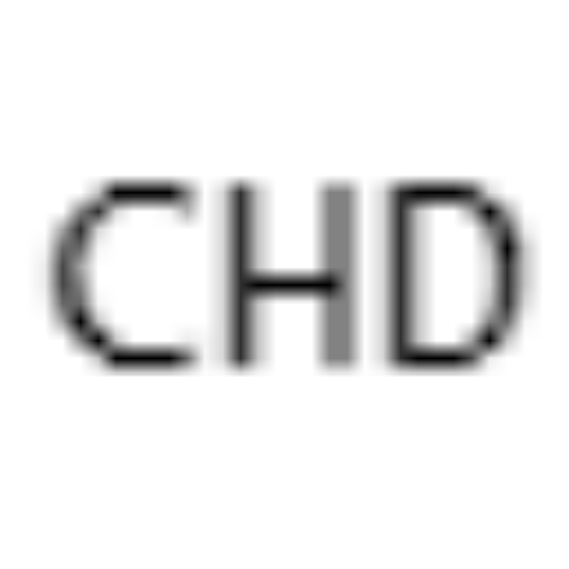 Christoffer H. Dausgaard